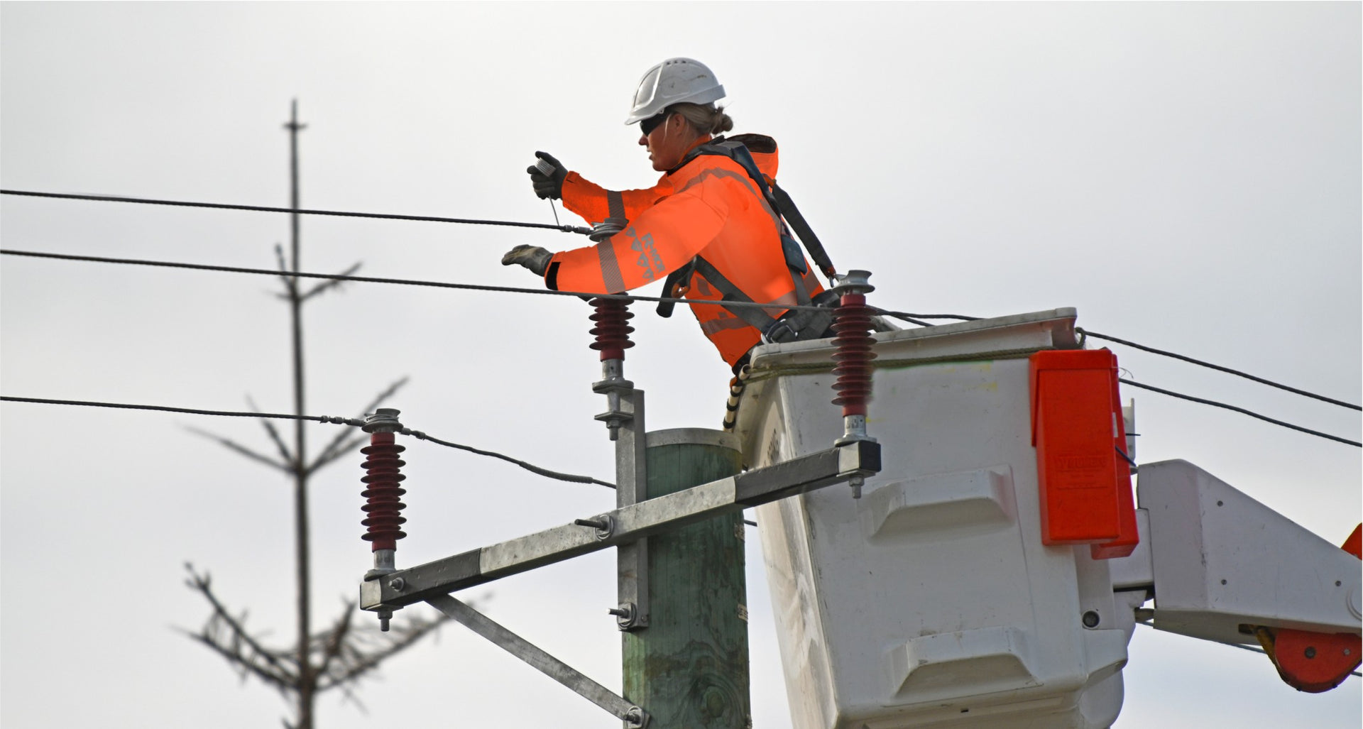 Articles – Lac-Mac, Limited